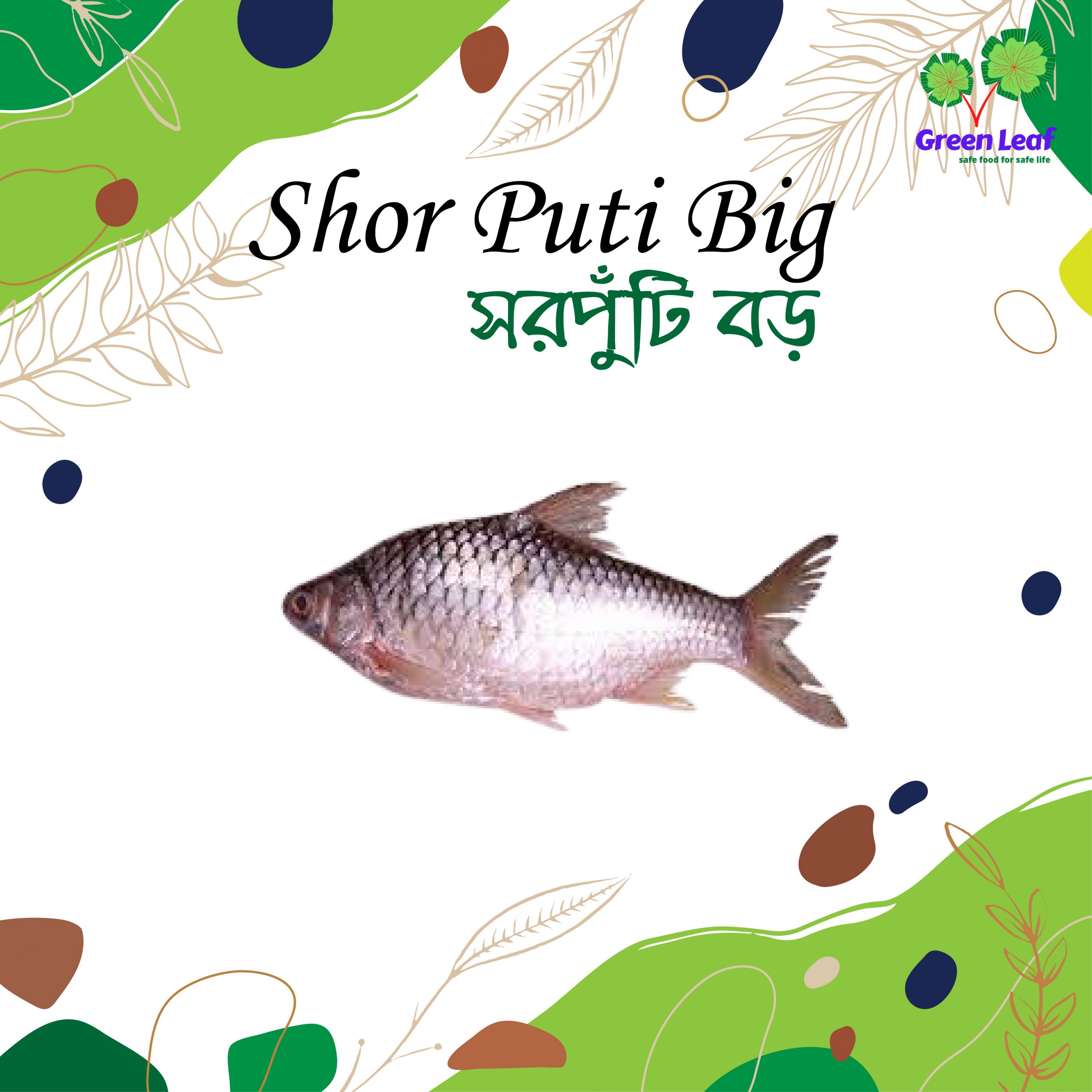 Shor Puti big – Green Leaf
